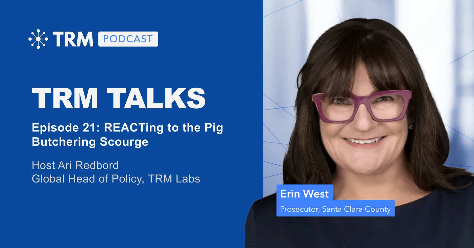 TRM Labs | Blockchain Intelligence Platform